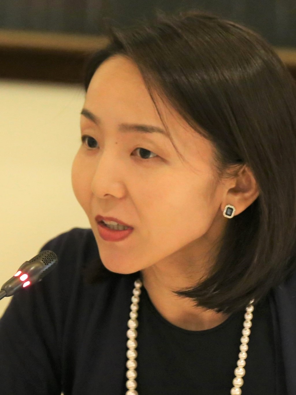 Fragmentation in Liberalism and Japan’s Role - Discuss Japan