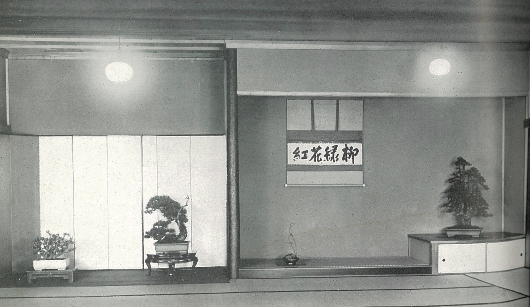 Bonsai as Minuscule Garden - Japan Policy Forum